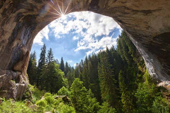 The Wonder Bridges